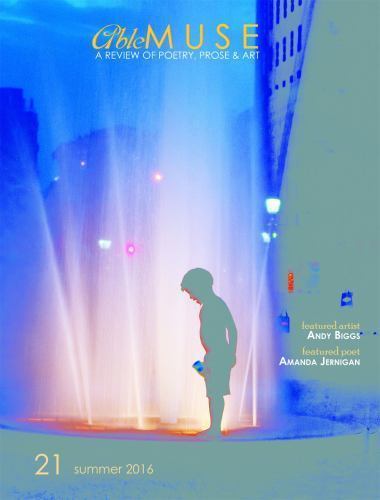 Able Muse Summer 2016 by Alexander Pepple (2016, Trade Paperback) for ...