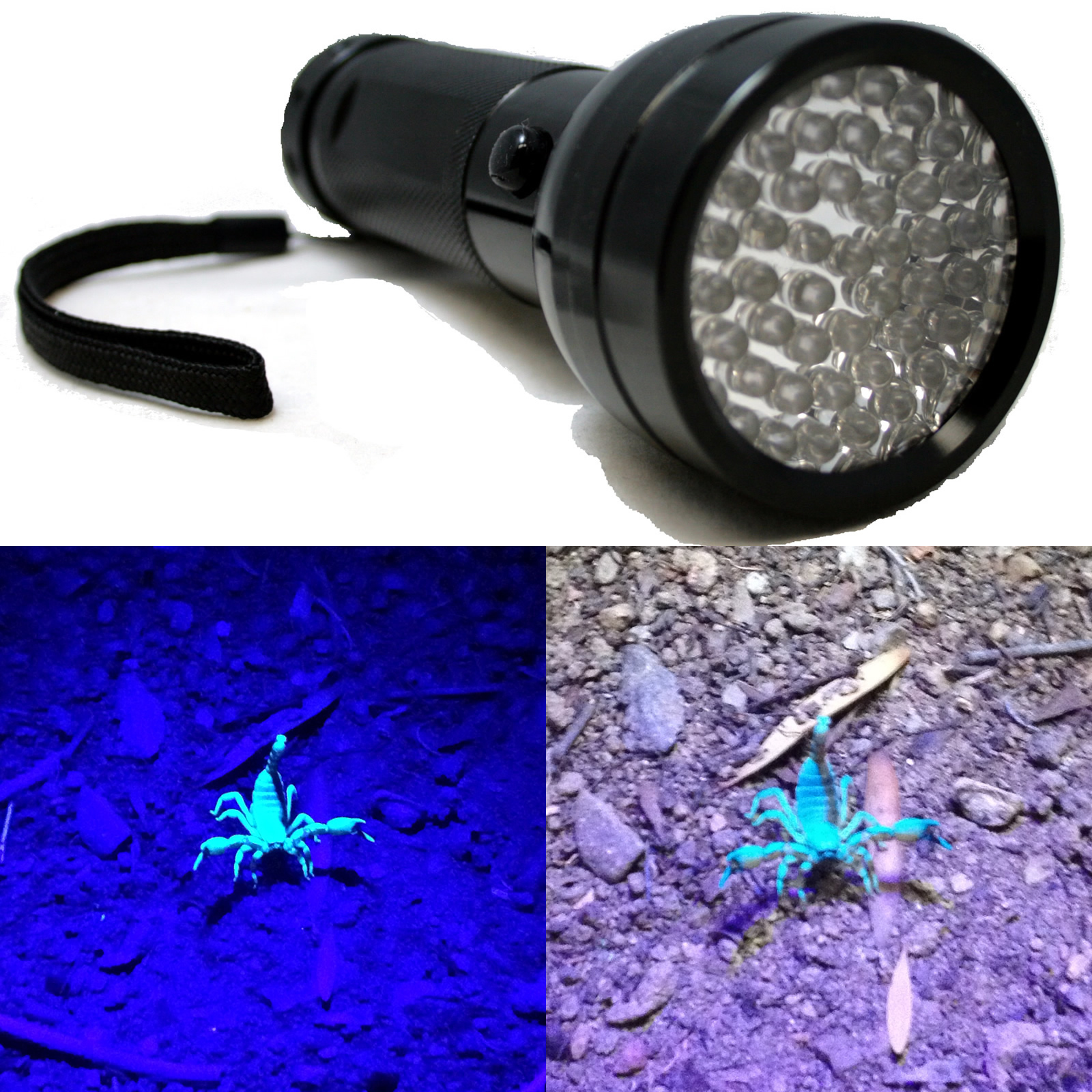 51 UV LED Scorpion Detector Hunter Finder Ultra Violet Blacklight ...