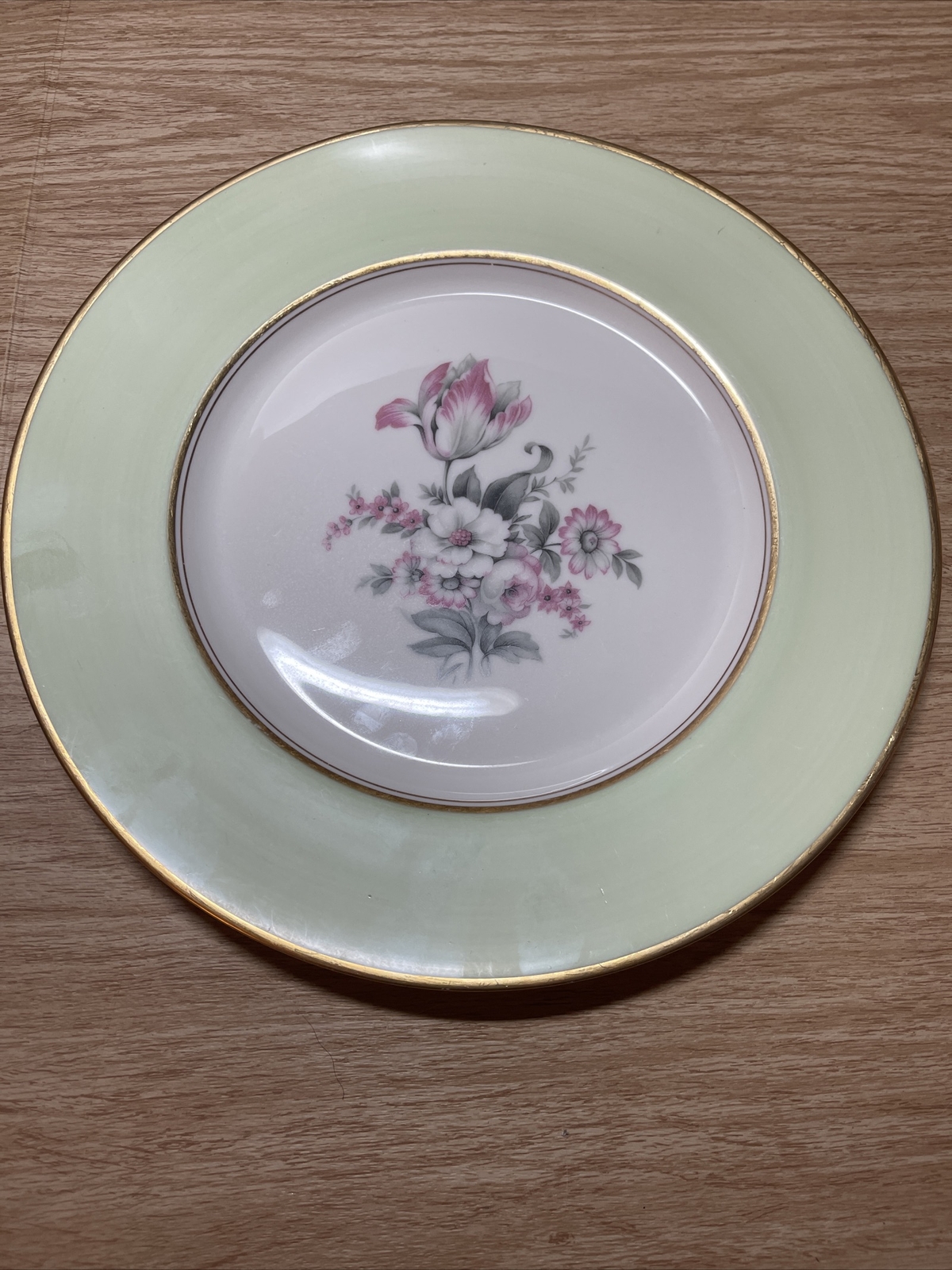 Concorde fine China dinner plate CCD35 USA gold trim floral green band ...