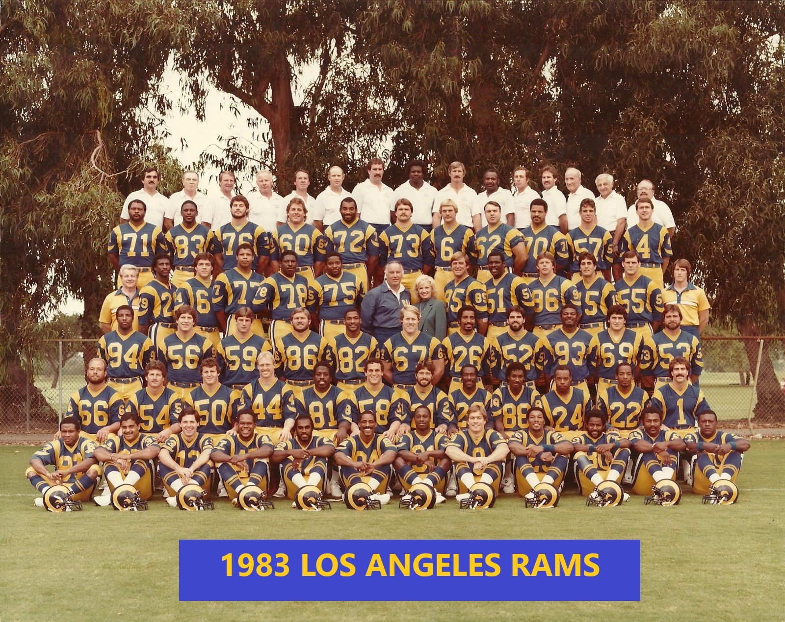 1983 LOS ANGELES RAMS 8X10 TEAM PHOTO FOOTBALL NFL PICTURE LA | eBay