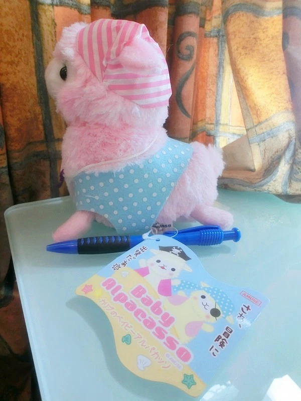 Alpacasso Pirate