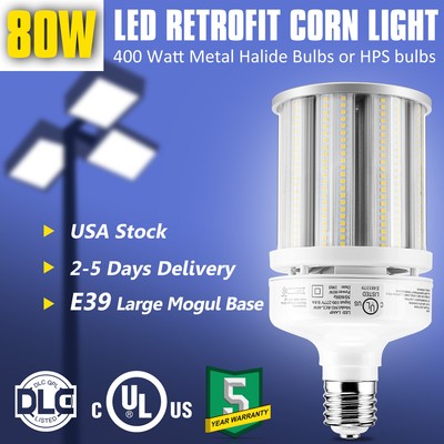 Fixtures - 1500 Watt 480 Volt Metal Halide