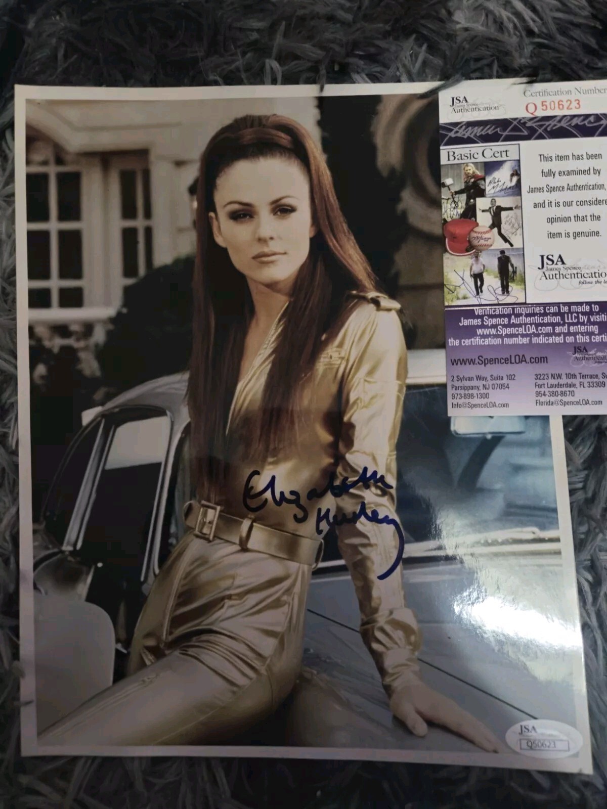 Elizabeth Hurley Autograph Authenticated By JSA COA On A 8X10 Photo | eBay