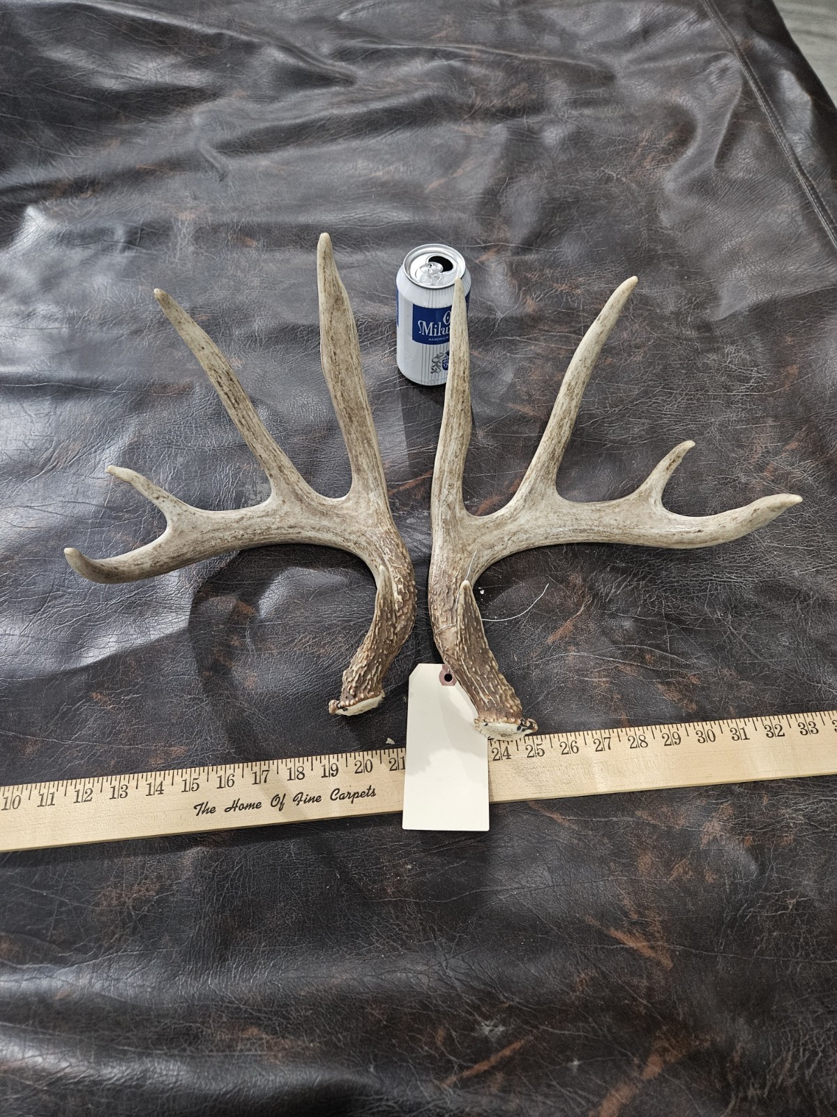 Wild 12 Point Whitetail Deer Antler Rack Horn Shed Set Man Cave Cabin ...