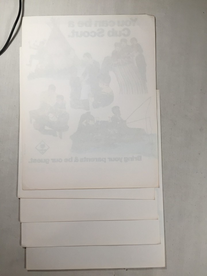 Boy Scouts of America Cub Scout Advertisement flier camping BSA ...