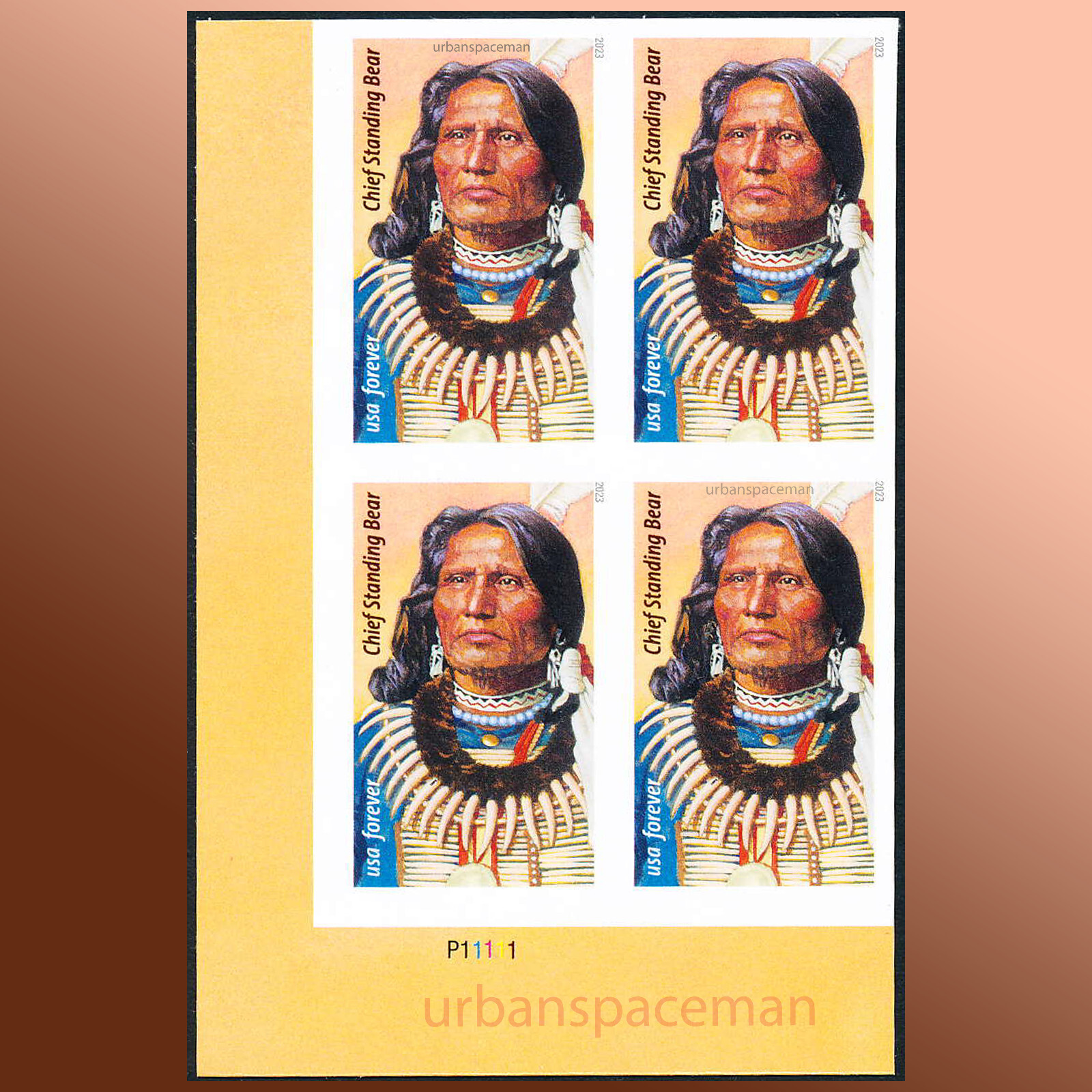 5798a Chief Standing Bear Native American Personhood Case Imperf PB4 LL ...
