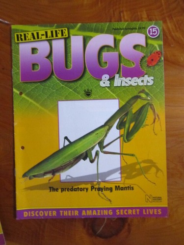 MAGAZINE REAL-LIFE BUGS & INSECTS NUMBER 15 GREAT **** MUST SEE | eBay UK