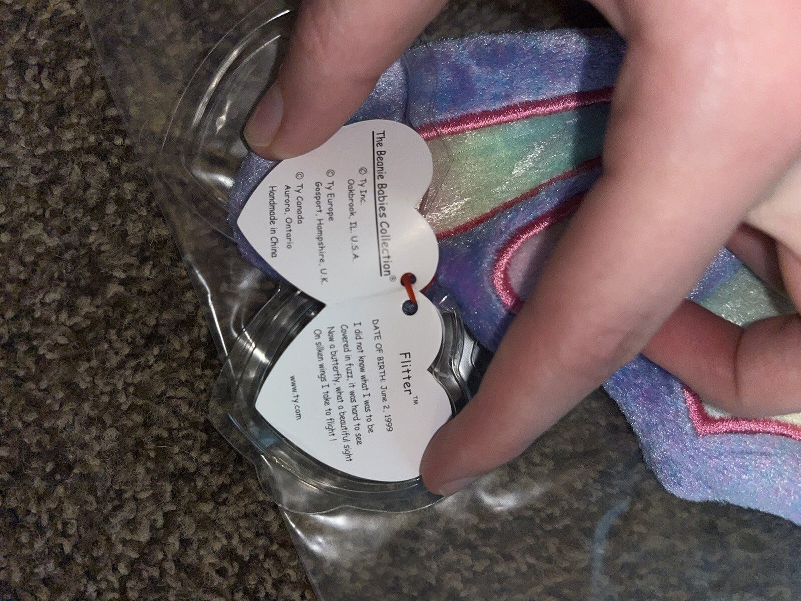 TY Beanie Baby - Fritter - Butterfly | eBay