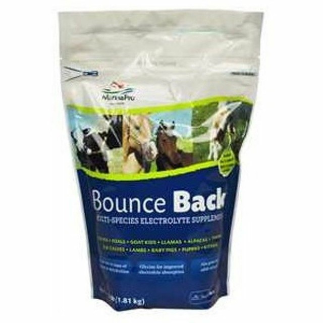 Manna Pro Bounce Back Electrolyte Calves 4 Pound 9413 for sale online ...