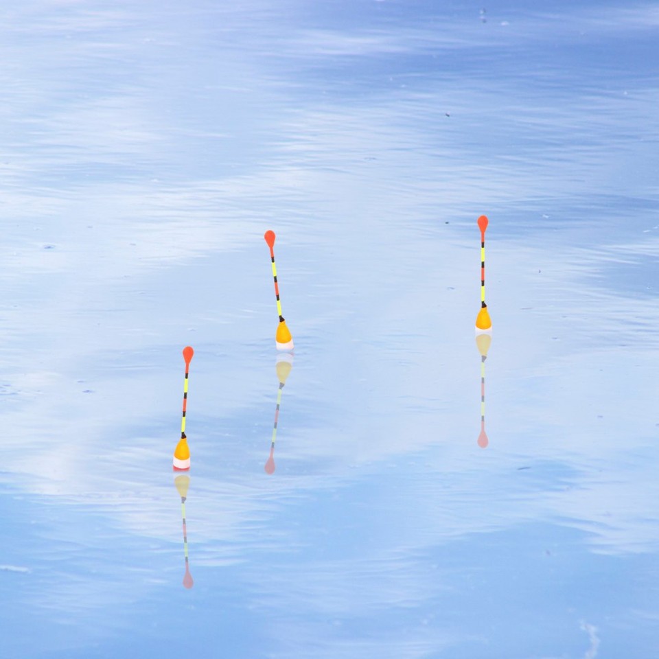 60 pcs Fishing Floats Buoy Remind Fish Bite Fishing Tackle Tool | eBay UK