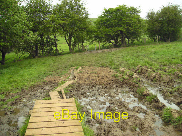 Photo 6x4 A surprise has "sprung" Nettleton Top This very muddy, quagmi ...