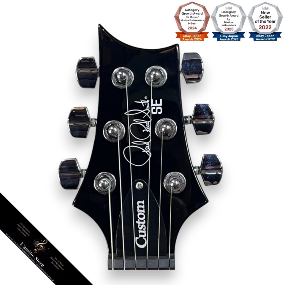 Paul Reed Smith SE Custom 24 Electric Guitar 2013 Vibrant Wood ...