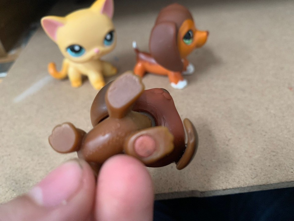 Littlest Pet Shop RARE dachshund #675 Short hair cat #339 Beagle #77 ...
