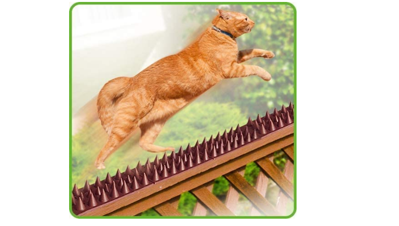 Animal Decoy Spikes Outdoor Fence Spike Defender Decoys Cat Bird ...