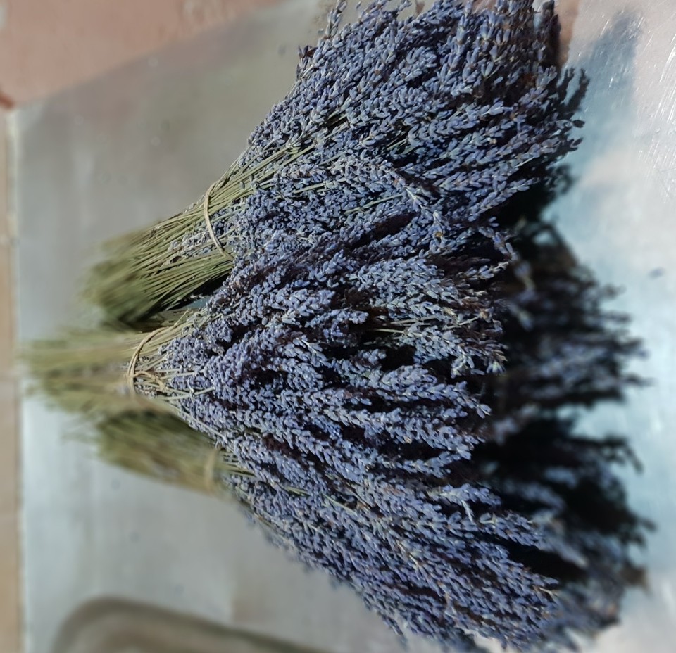 Greek Dried Lavender Bunch 300 stems 1 bunch 30-32 cm Organic Harvest ...