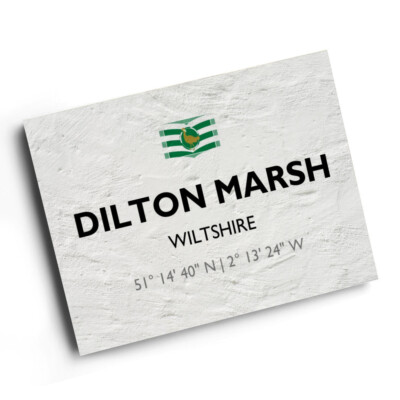 A3 PRINT - Dilton Marsh, Wiltshire - Lat/Long ST8449 | eBay UK