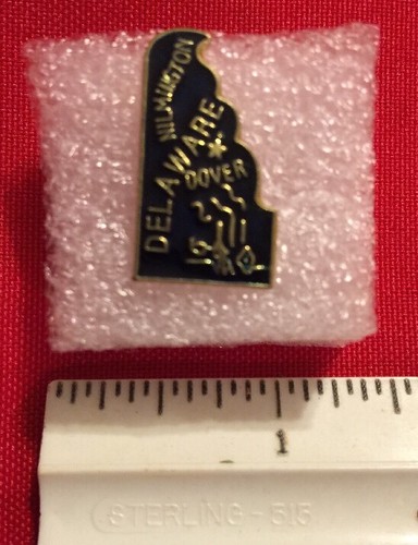 DELAWARE ENAMEL STATE LAPEL PIN UNKNOWN AGE. VERSION 1 Wilmington Dover ...