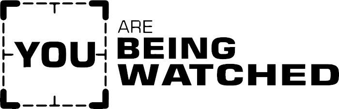 You Are Being Watched Person Of Interest