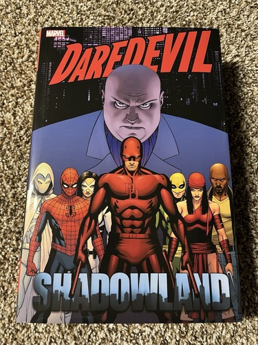 Daredevil: Shadowland Omnibus (Marvel Comics 2018) 9781302910372| eBay