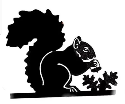 SQUIRREL ACORN Vinyl Decal -Sticker for Jeep Car Truck Bumper Wall ...