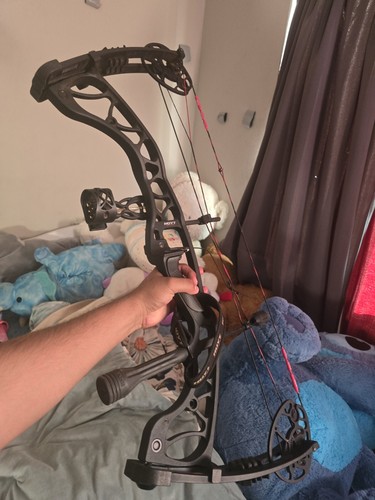 Hoyt Compound Bow Brand New GAS Strings | eBay