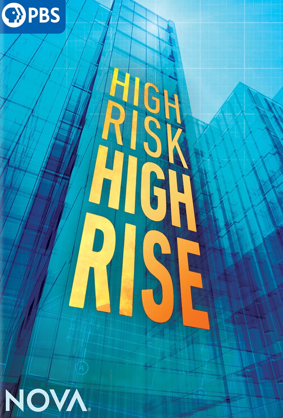 NOVA: High-Risk High-Rise (DVD, 2022) for sale online | eBay UK