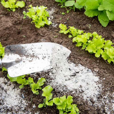 Wood Ash Fertilizer Organic Wood Ash. Sifted. Gardening,