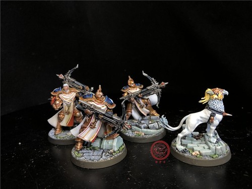 AOS DPS painted Stormcast Eternals Easy to Build Castigators with Gryph ...