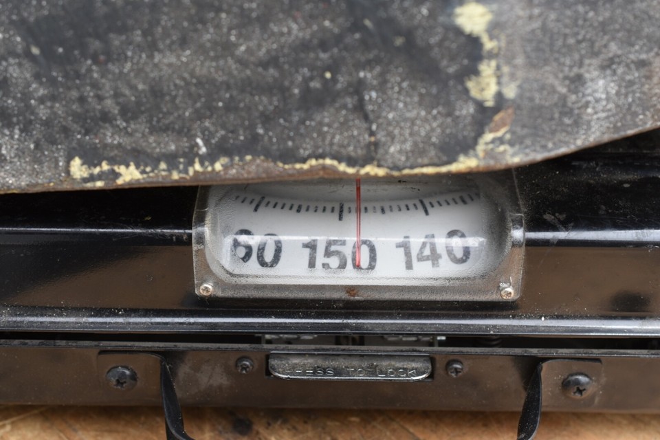 Red Devil Paint Shaker 5066, Twin Arm, 115 volt, 14 min timer | eBay