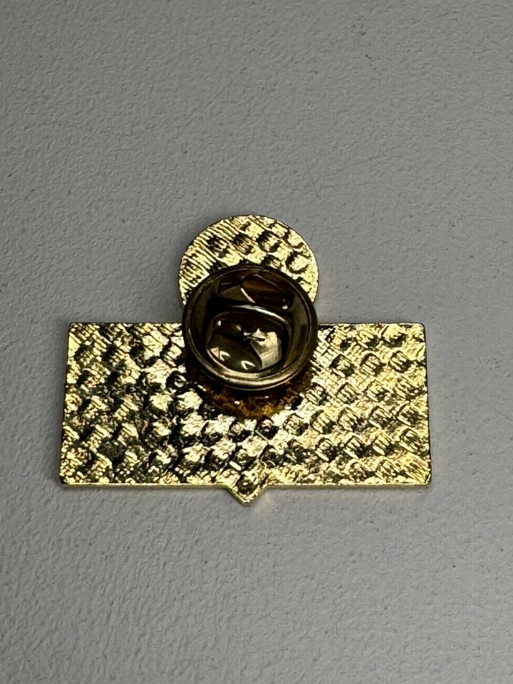 1989 Wincraft Pro Football Hall Of Fame Pin | eBay