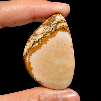 Natural Picture Jasper Fancy Shape Cabochon Gemstone 56.5 Ct. 45X30X5 ...