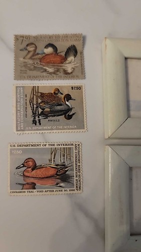 US Duck Hunting Stamps(3) 82,84,86 With 2 Display Cases | eBay