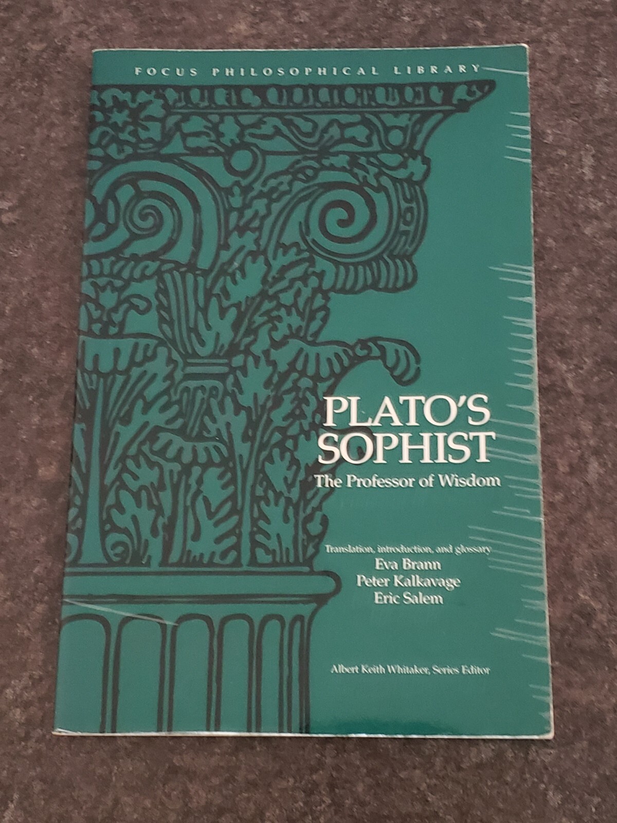 Sophist : The Professor of Wisdom Perfect Plato Vg Pb 9780941051514 | eBay