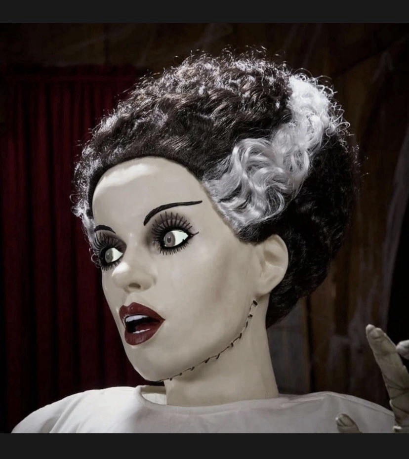 6Ft Animated LED Bride of Frankenstein Halloween Animatronic Home Depot ...