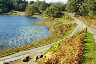 Photo A1 Llyn Tecwyn Isaf, Gwynedd Bryn Bwbach Looking across the lake ...