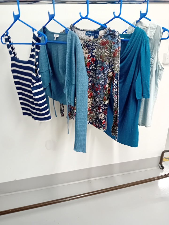 WOMEN'S TOPS BUNDLE x 20 sizes 6-18 inc. PHASE EIGHT BERKERTEX NEXT M&S ...