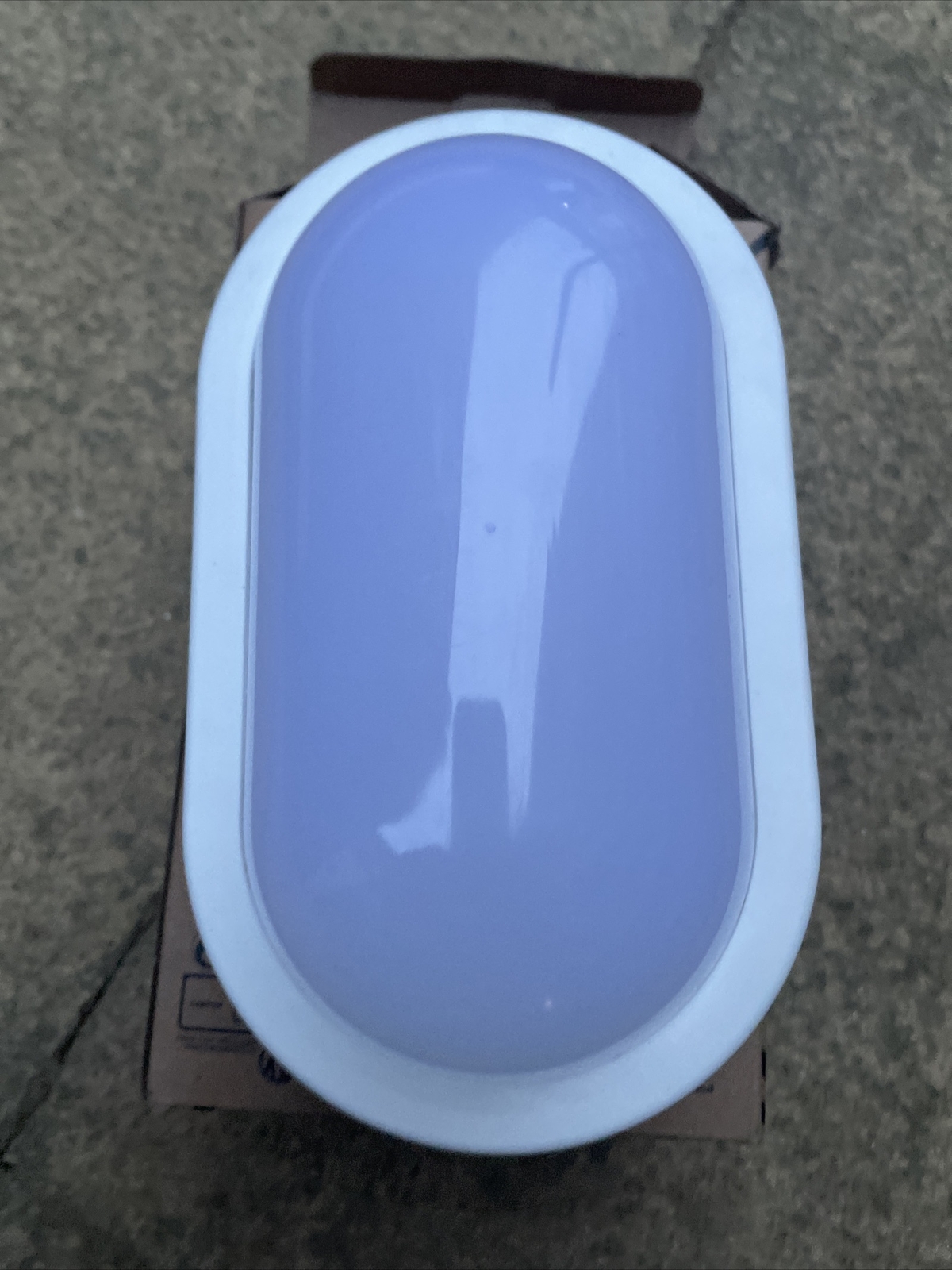 LAP OUTDOOR OVAL LED BULKHEAD WHITE 8W 900LM (947PP) Brand New💚 | eBay UK