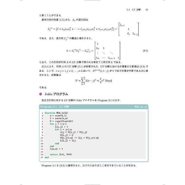Matrix Calculation Algorithms Book w/ Julia Programming Examples Used ...