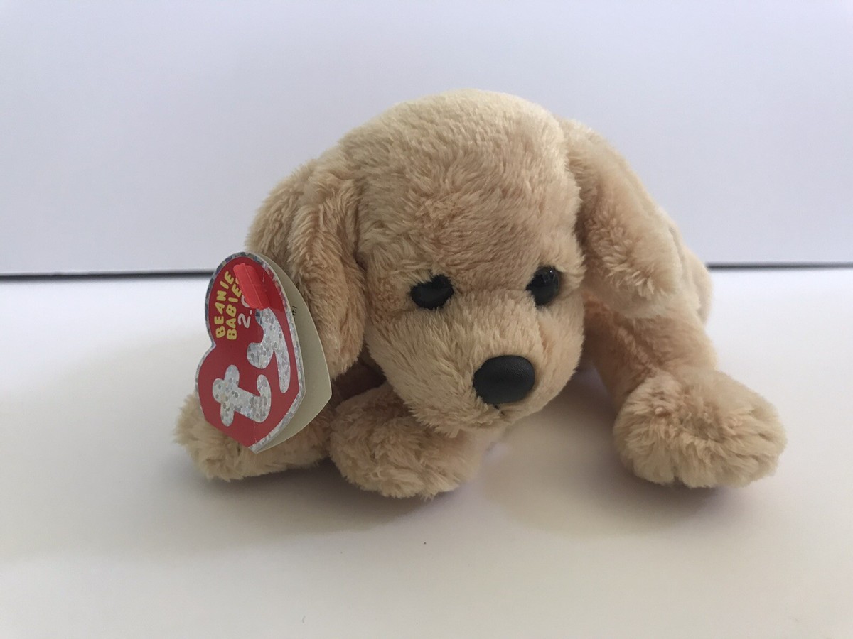 Golden Dog Ty Beanie Buddies