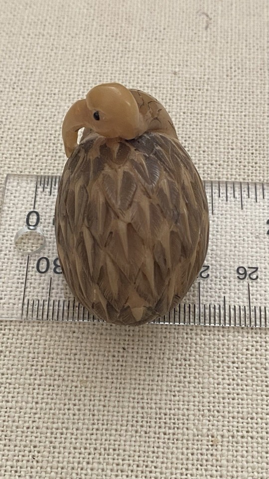 Vintage Japanese Netsuke Kiwi Bird Carved From Tagua Nut | eBay