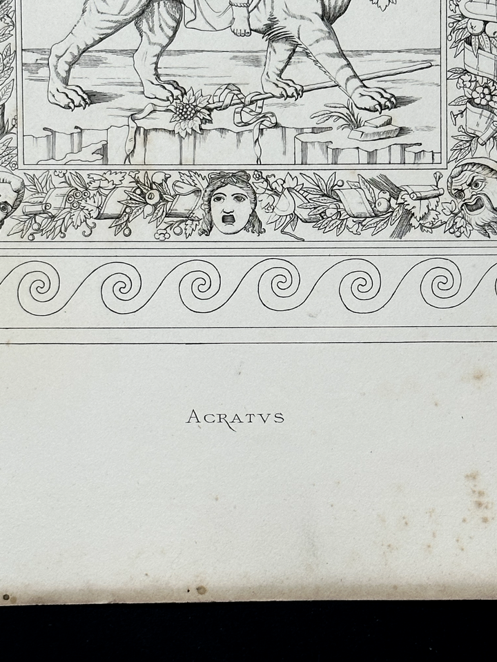 Engraving Xixth Antiquity Curiosa Acratus Mythology Art Antique Lion ...