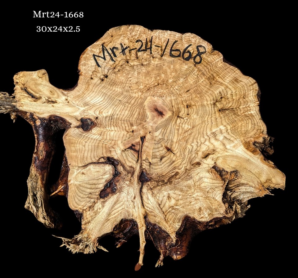 Myrtle Wood | Burl slab | Epoxy River Table | DIY Wood | Mrt24-1668 | eBay