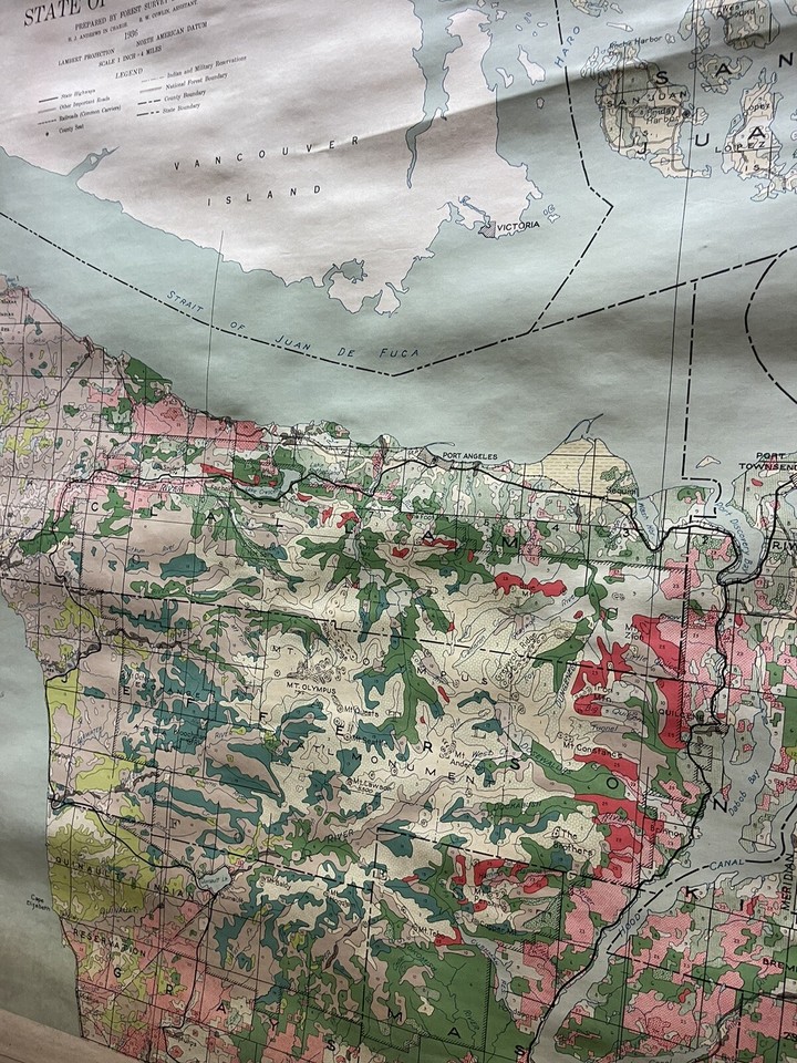 1936 Vintage Huge 4 Map US Forest Service Dept Of Agriculture USFS Roll ...