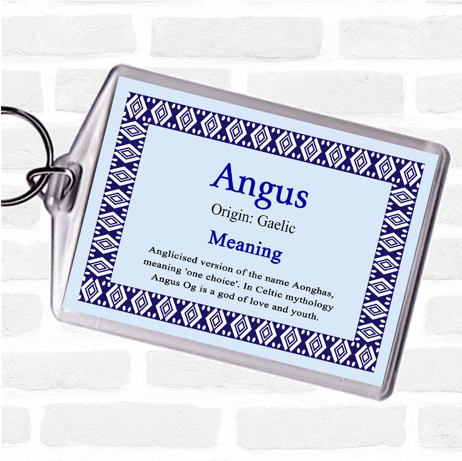 Angus Name Meaning Bag Tag Keychain Keyring Blue | eBay