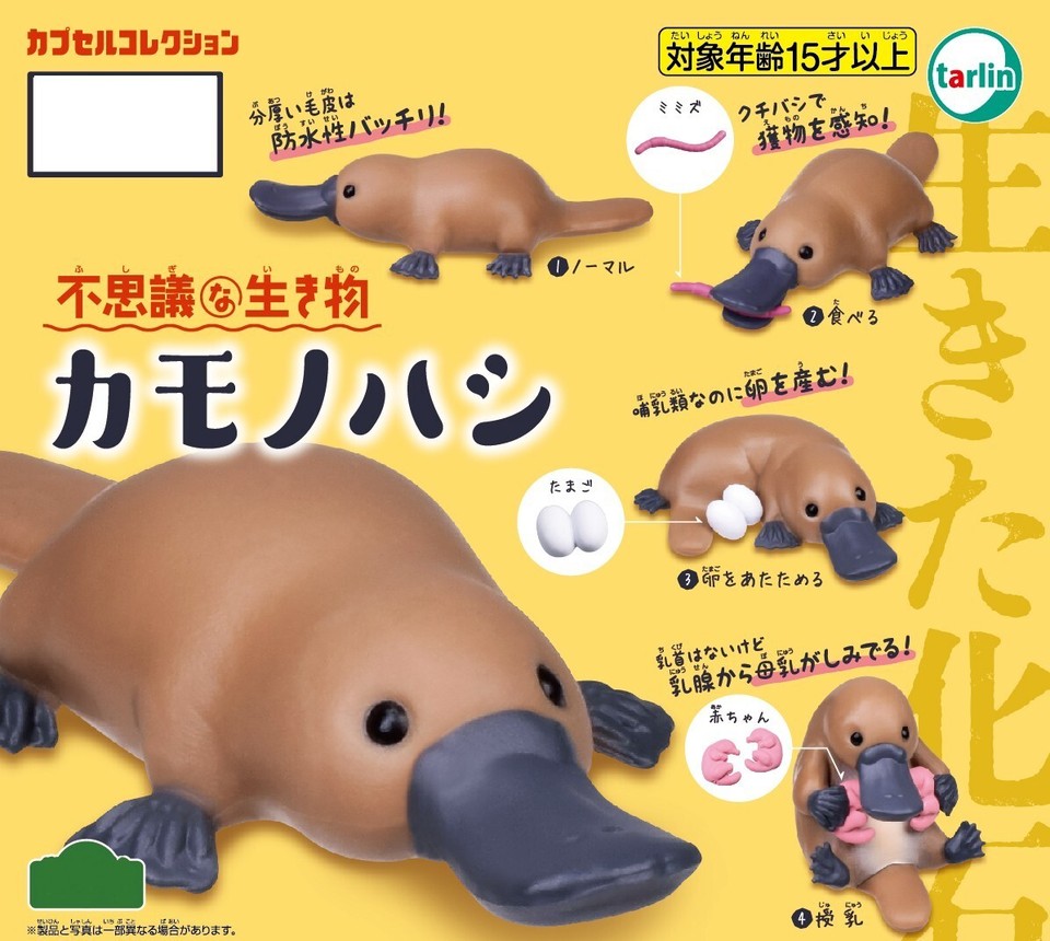 Japanese Blind Box Surprise Capsule Platypus Mini Figure 1 Random Toy ...