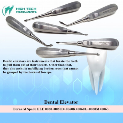 6 Pc Bernard Spade Tip Dental Surgical Elevator Root Extraction Teeth ...