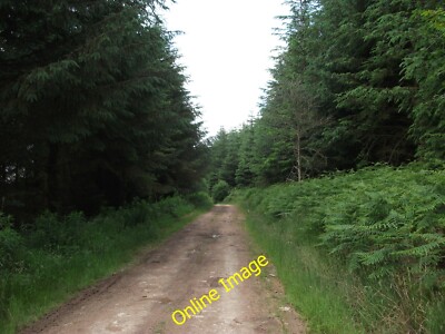 Photo 6x4 Typical upland forest track Corwen Tracks are an important ...