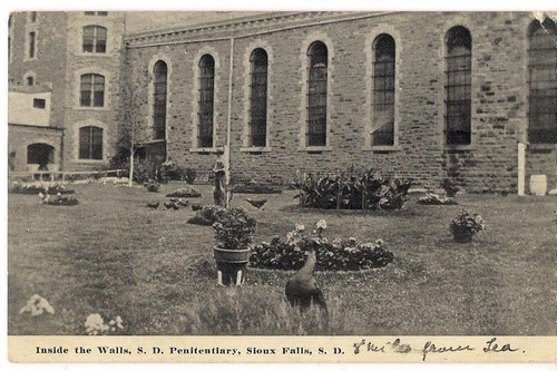 Inside SOUTH DAKOTA State Penitentiary Prisoner Feeds Chickens PM 1912 ...