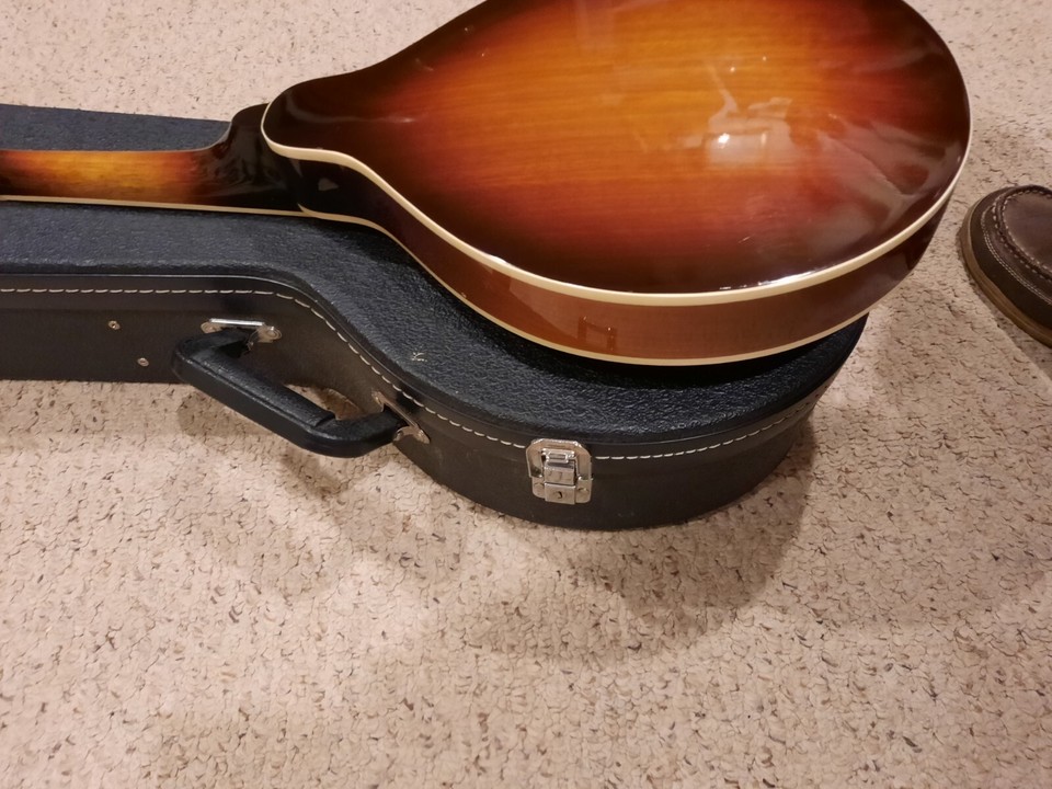 Goya Mandolin | eBay