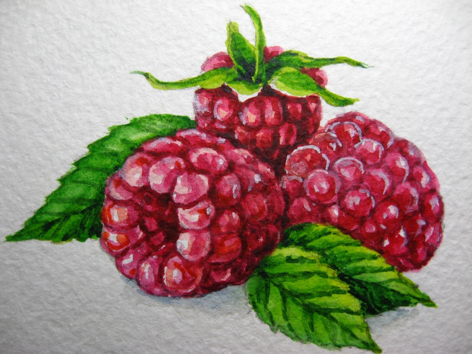 Watercolor Painting Raspberry Organic Berry Fruit Still-life Food ACEO ...